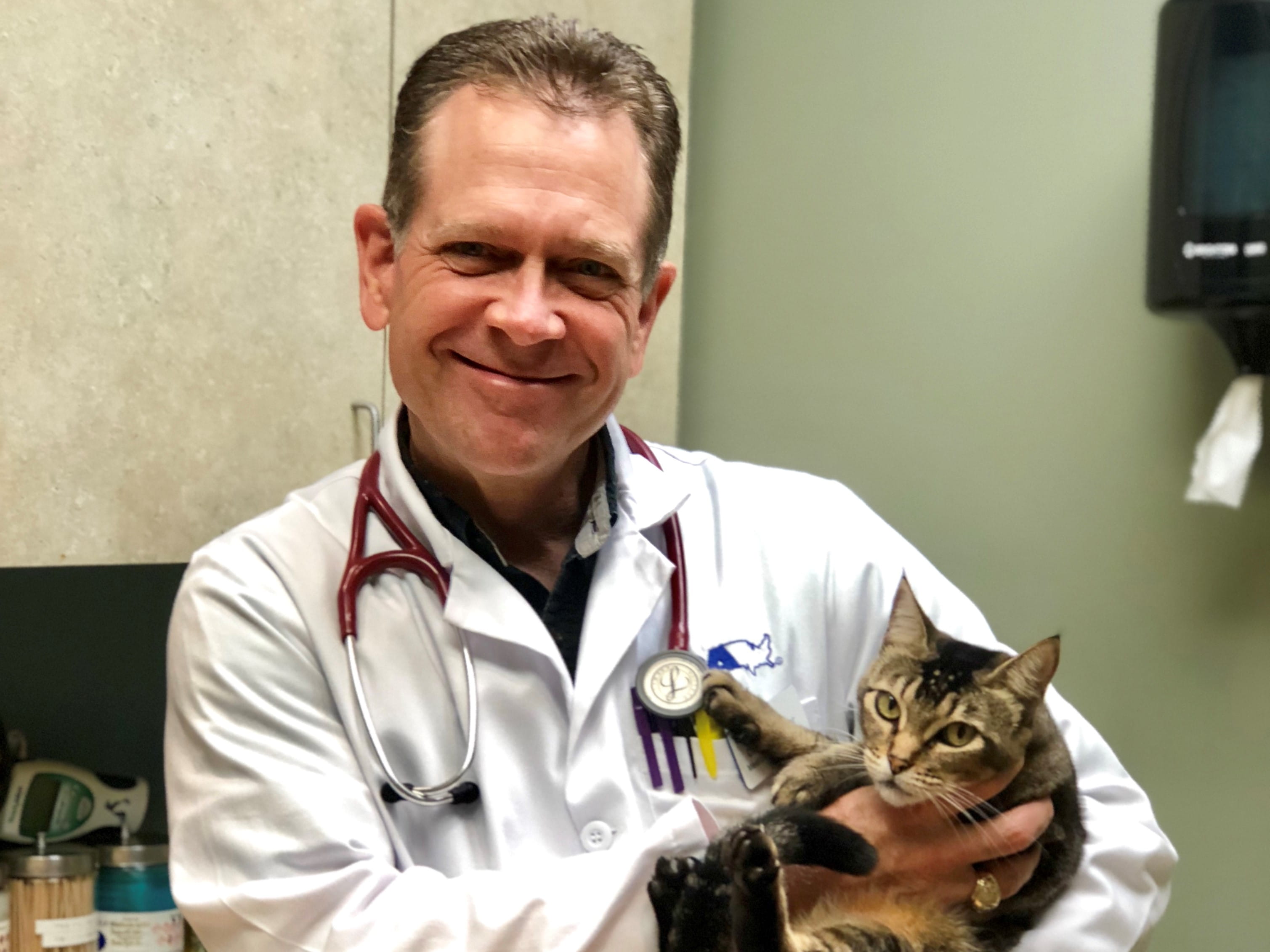 VCA Spring Animal Hospital | Staff Page