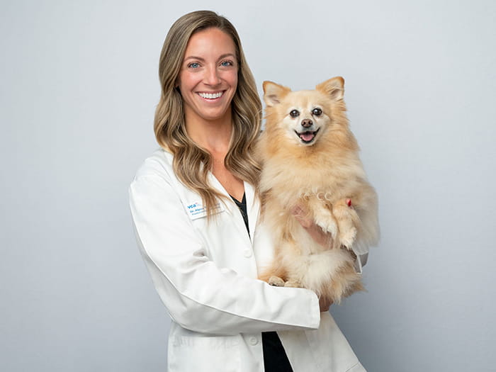 VCA SouthPaws Veterinary Specialists & Emergency Center | Staff Page