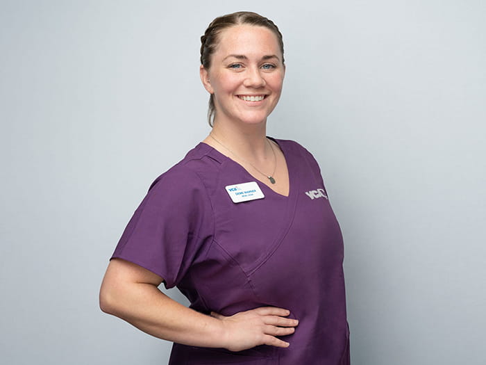 VCA SouthPaws Veterinary Specialists & Emergency Center | Staff Page