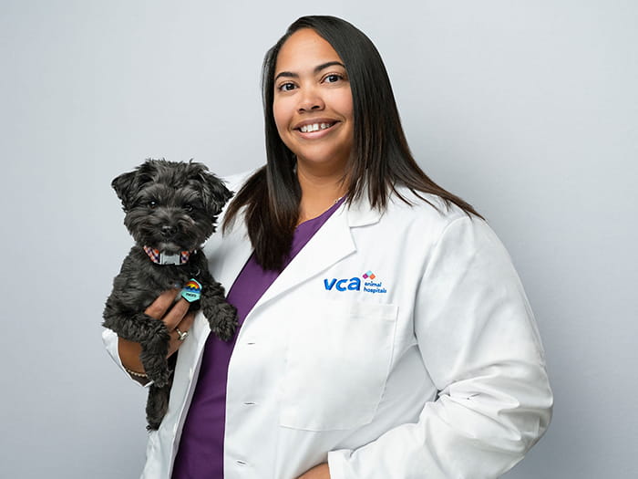 VCA SouthPaws Veterinary Specialists & Emergency Center | Staff Page