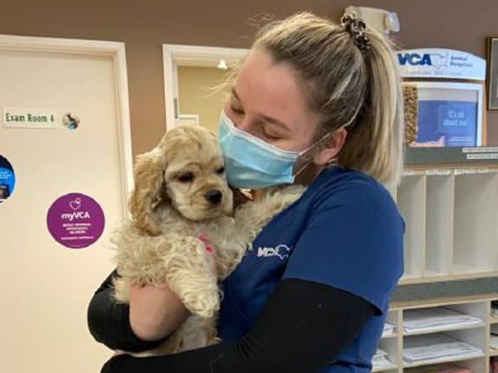 VCA Manito Animal Hospital | Staff Page