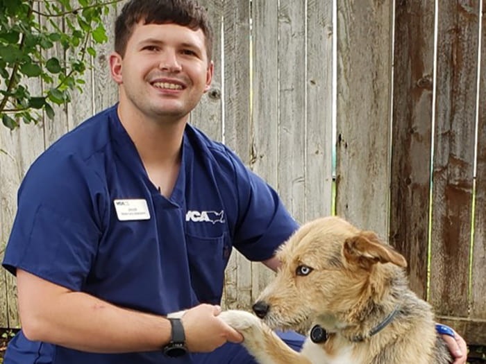 VCA Manito Animal Hospital | Staff Page