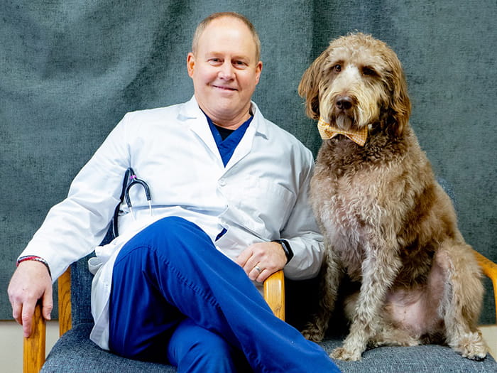 VCA North Division Animal Medical Center | Staff Page