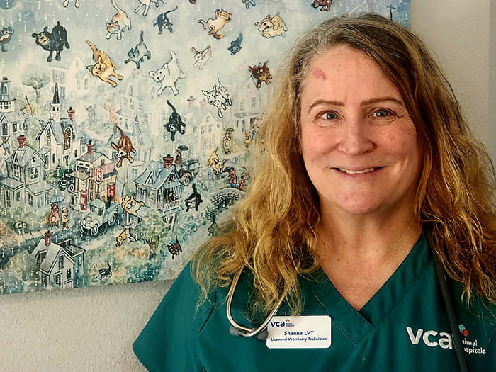 VCA Peone Pines Animal Hospital | Staff Page