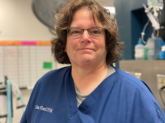 Our Team| VCA Veterinary Emergency Service