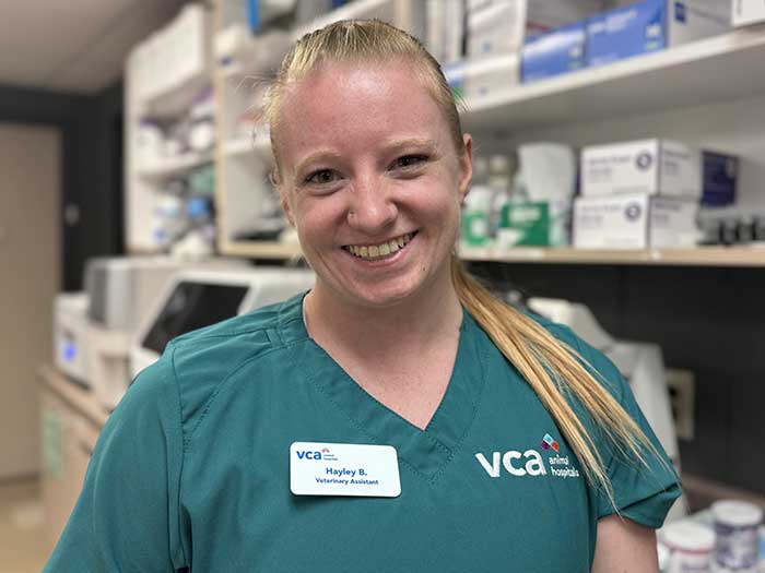 VCA Veterinary Emergency Service & Veterinary Specialty Center | Staff Page