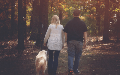 Factors to Consider in Pet Selection - Dogs | VCA Animal Hospitals