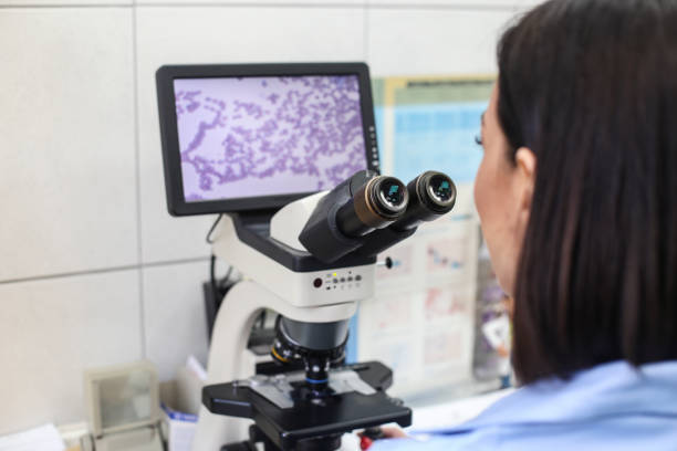 Routine Fecal Testing: FAQs for Dog Owners | VCA Animal Hospital