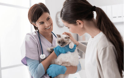 Complete Blood Count | VCA Animal Hospital