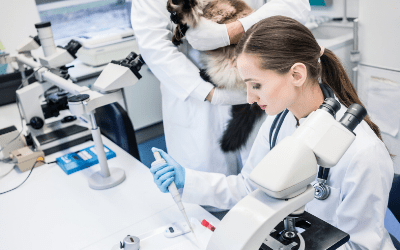 presurgical-preparation-and-testing | VCA Animal Hospital