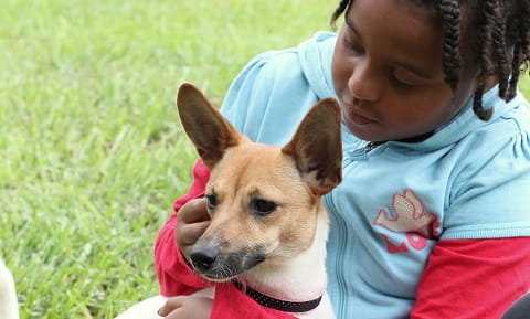 TTouch Therapy | VCA Animal Hospitals