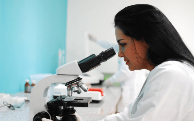 Pinworms in Rabbits | VCA Animal Hospital