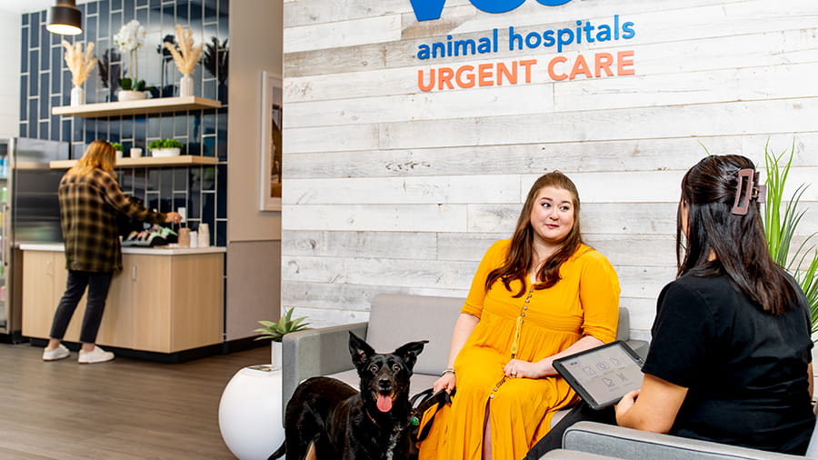 About VCA Animal Hospitals Urgent Care