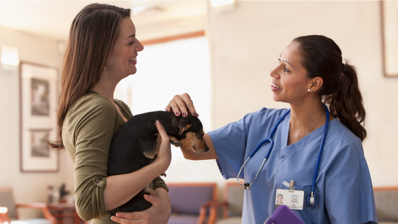 Our Team | VCA Animal Hospitals Urgent Care in Los Angeles, CA