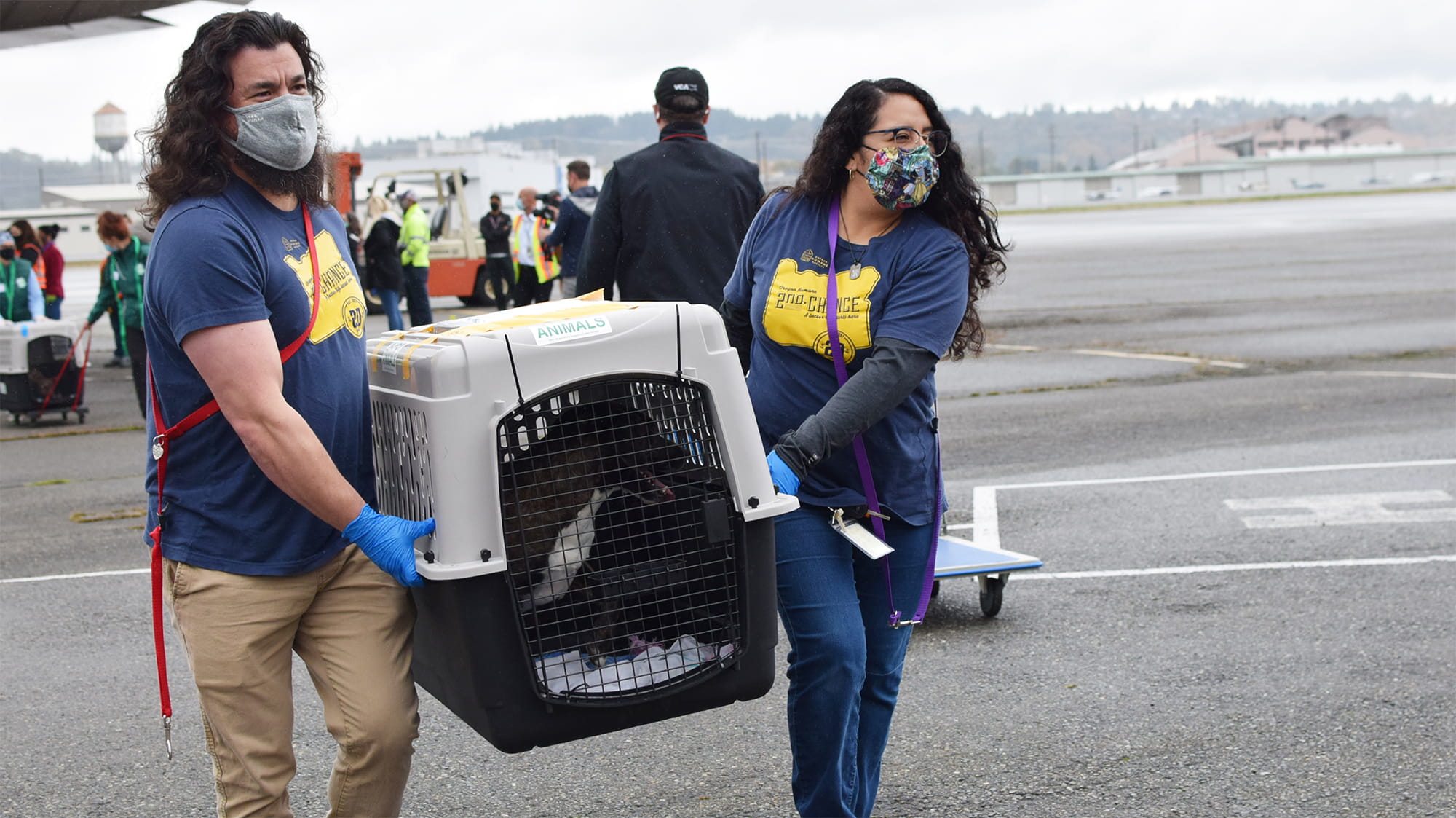 VCA Charities Join Forces with Banfield and Pedigree Foundations to ...