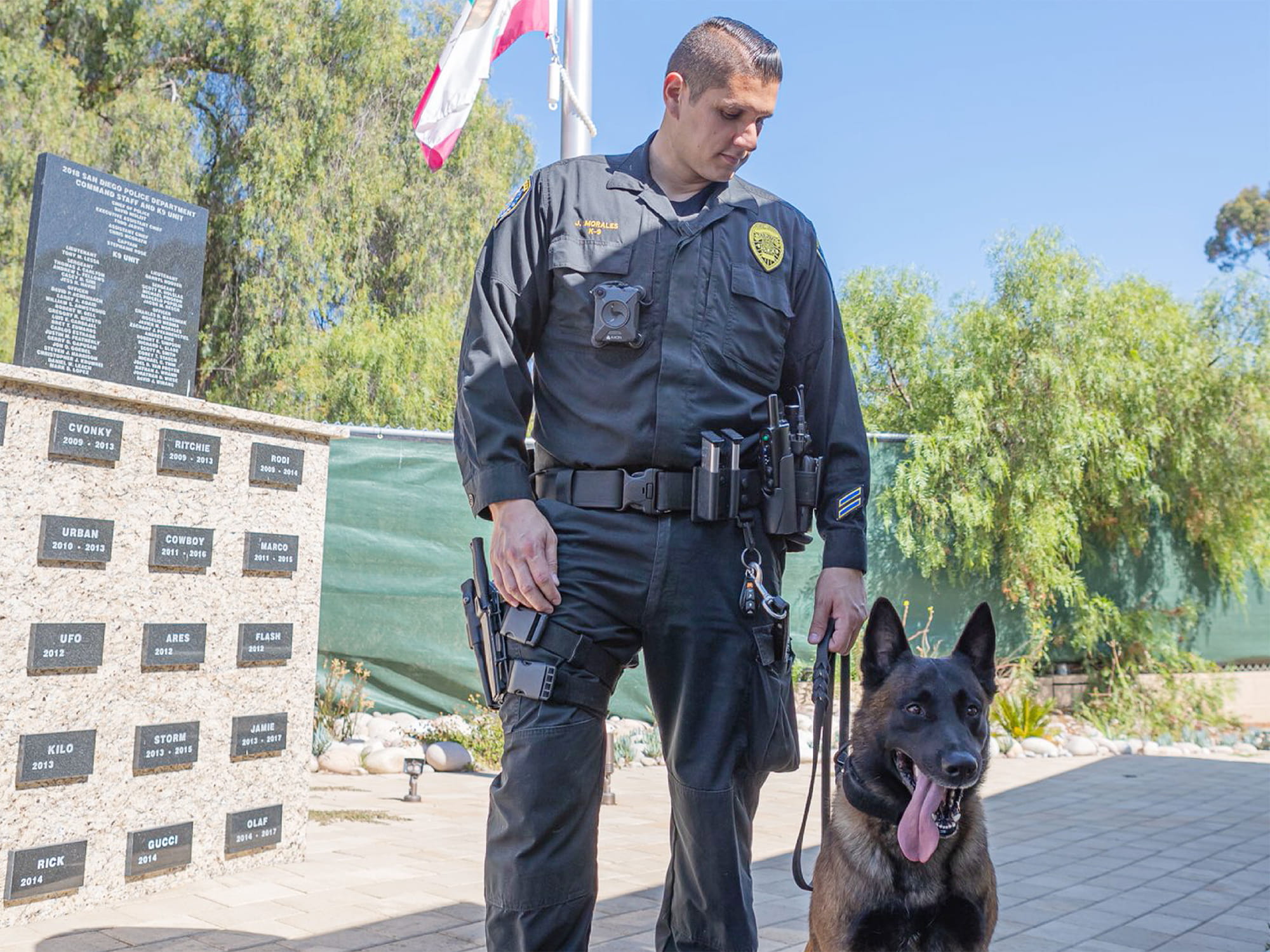 Caring for the K9 Officers Who Keep Us Safe - Inspiring Animal Stories ...