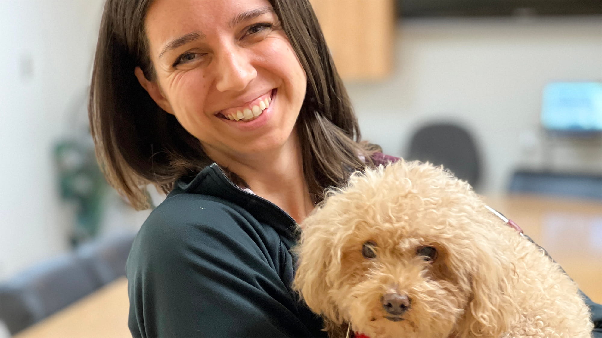 Veterinarians & Emergency Vets