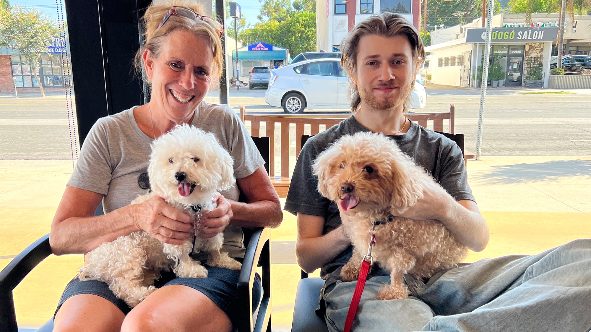 VCA Emergency Hospital Saves Dogs from Toxic Burrito - Inspiring Animal ...