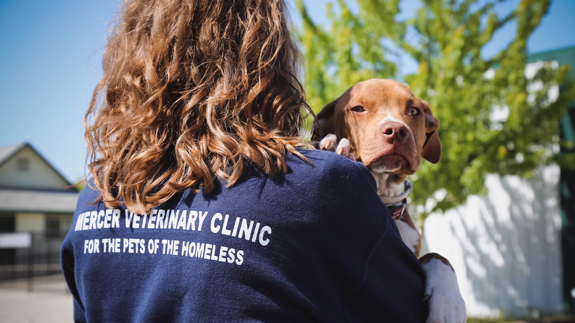 VCA Animal Hospitals invests to end pet homelessness - Inspiring Animal ...