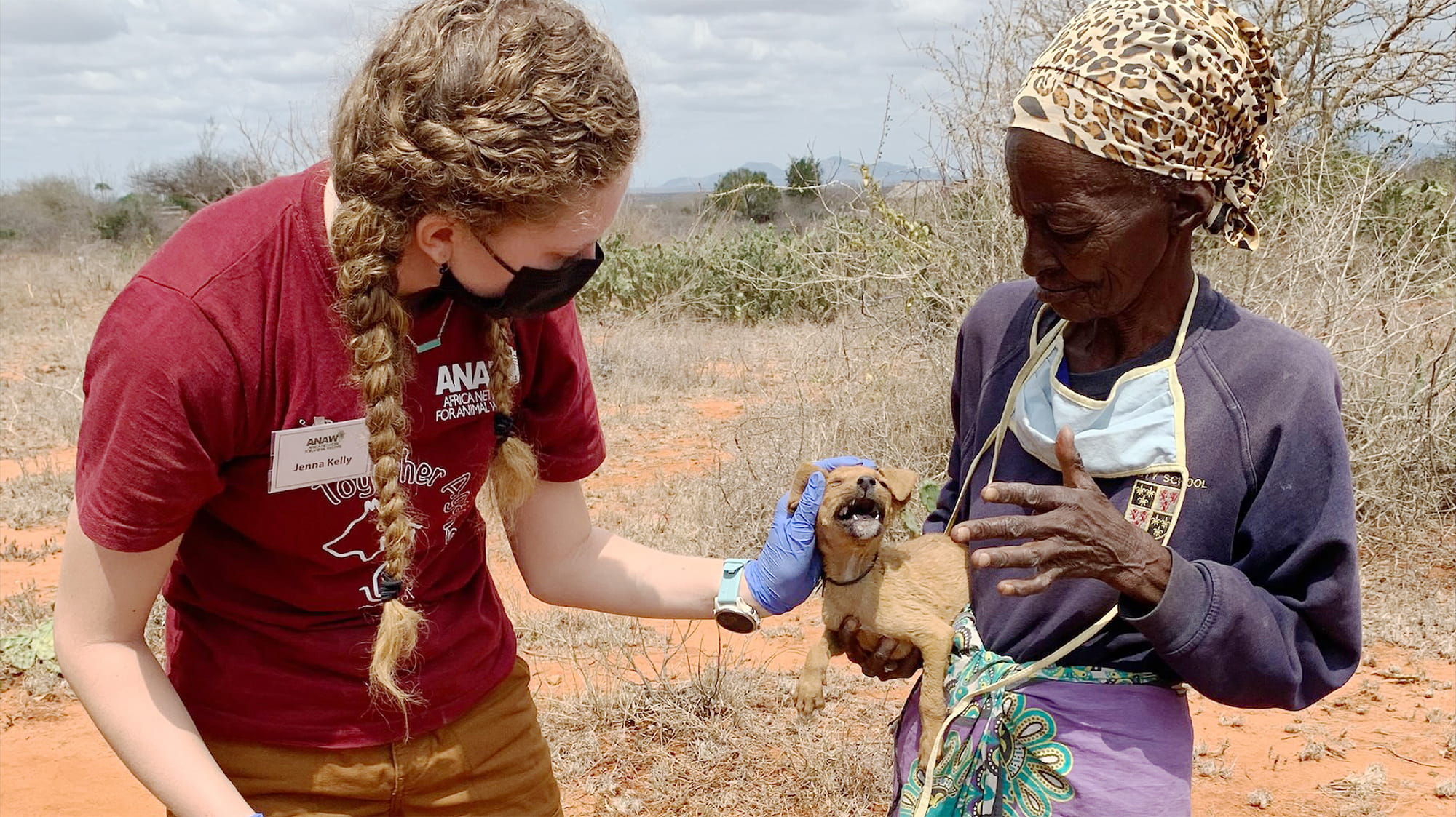 VCA Associates Improve Animal – and Human – Health in Africa ...