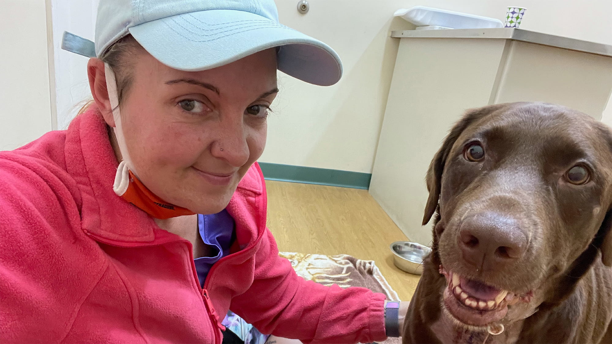 Nettie the Lab Breathes Easily Again Thanks to VCA - Inspiring Animal ...