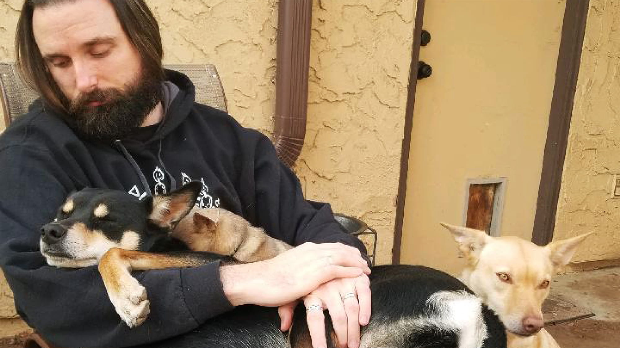 Compassion in the Face of Disaster - Inspiring Animal Stories | VCA Voice