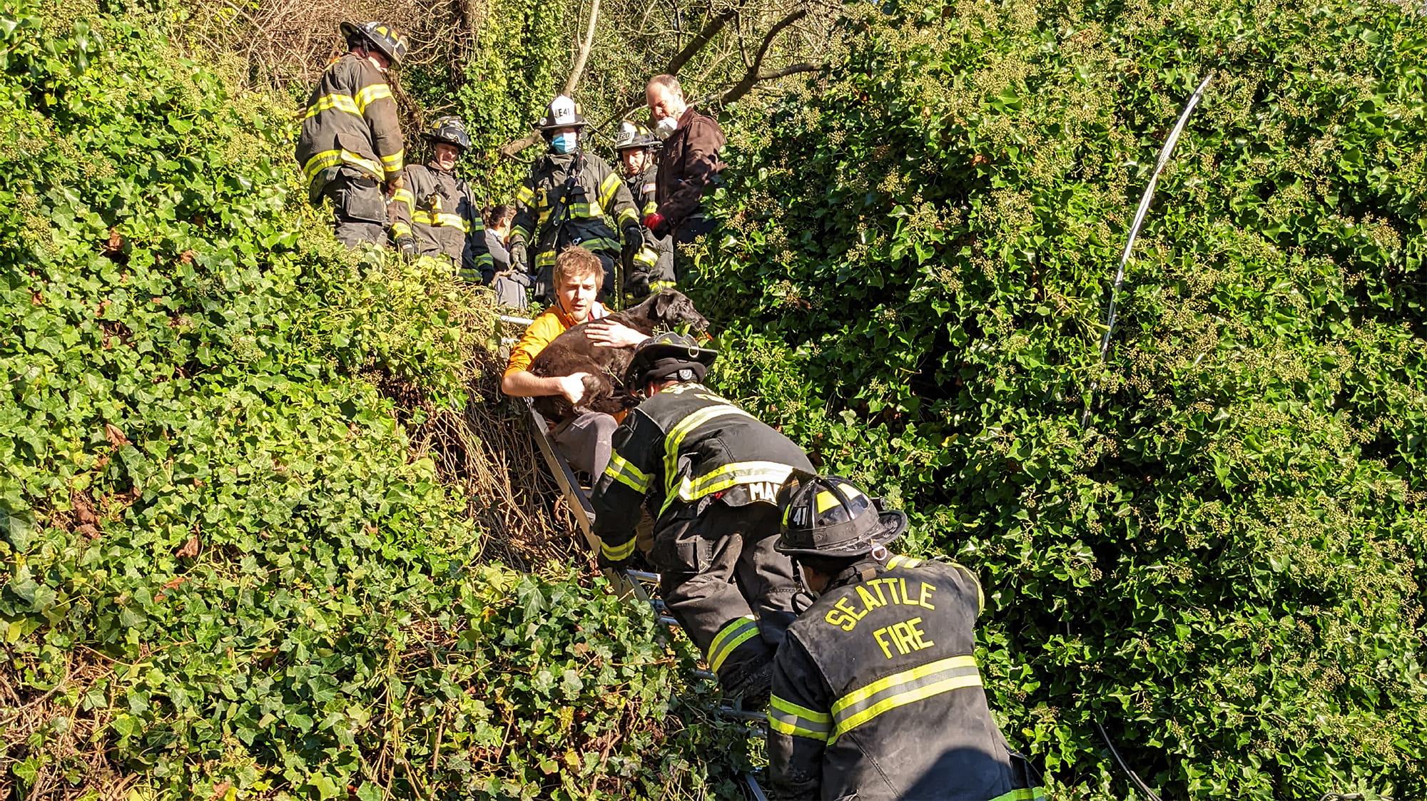 Sammy the Dog Miraculously Survives Collapsed Oceanside Home ...