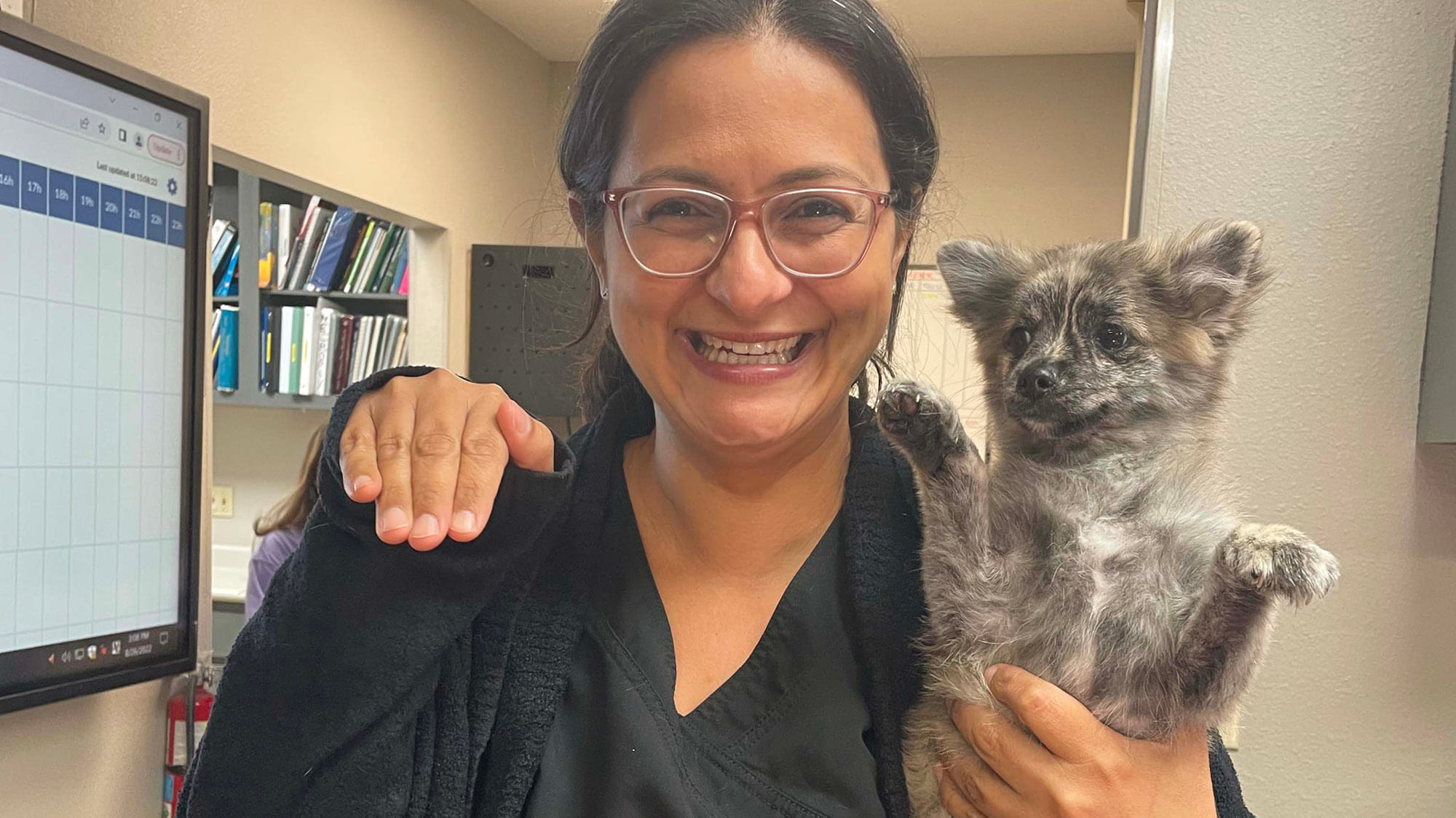 From Brazil to Texas: Pursuing a Passion for Veterinary Medicine - Inspiring Animal Stories ...