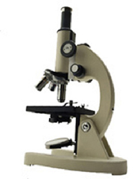 Blepharitis in Cats | VCA Animal Hospital