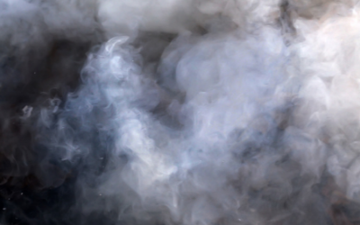 Smoke Inhalation in Dogs | VCA Animal Hospital