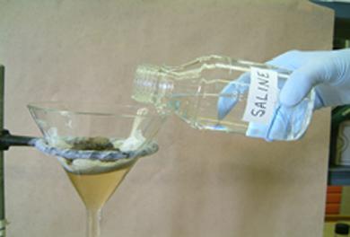 Fecal Baermann | VCA Animal Hospital