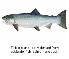 Fish Oil | VCA Animal Hospital