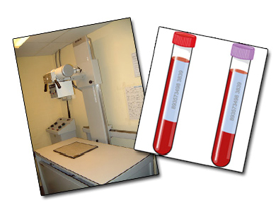 Lead Poisoning in Birds | VCA Animal Hospital