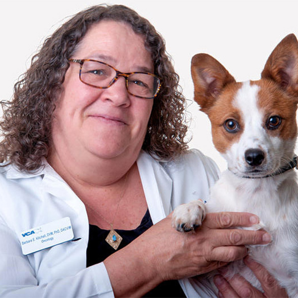 Advanced cancer diagnoses lead to more targeted treatments -- Inspiring ...