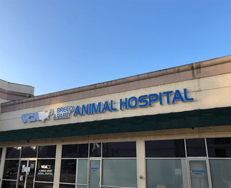Our Hospital | VCA A Breed Apart Animal Hospital