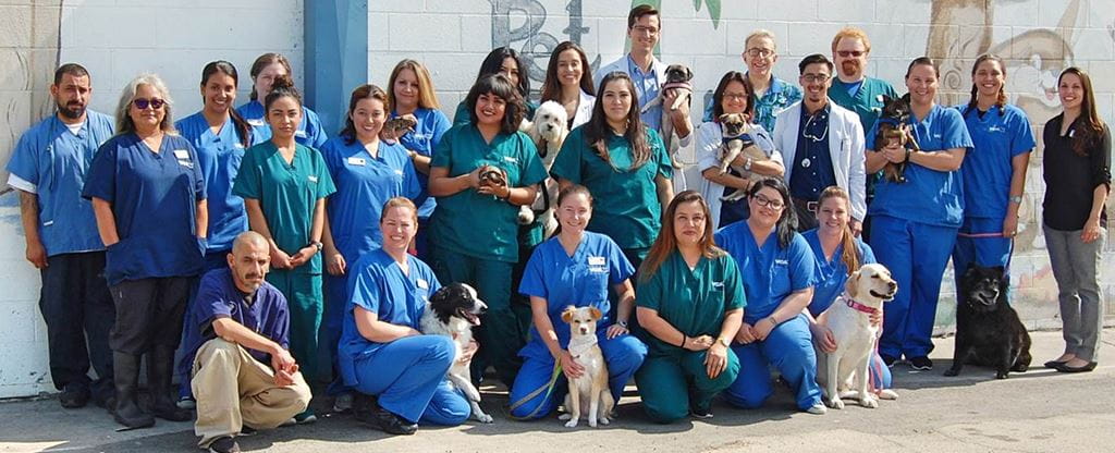 Veterinarians in North Hills, CA | VCA Adler Animal Hospital and Pet Resort