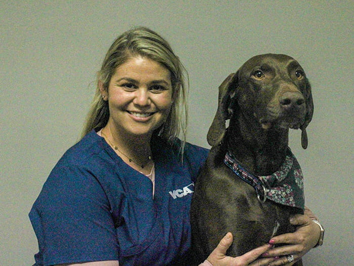Specialty Veterinarians in Evansville, IN | VCA All Pet Emergency Center