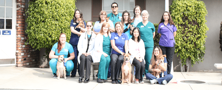 Veterinarians in Glendora, CA | VCA Alosta Animal Hospital