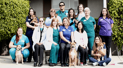 Veterinarians in Glendora, CA | VCA Alosta Animal Hospital
