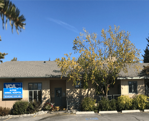 Our Hospital | VCA Alpine Animal Hospital