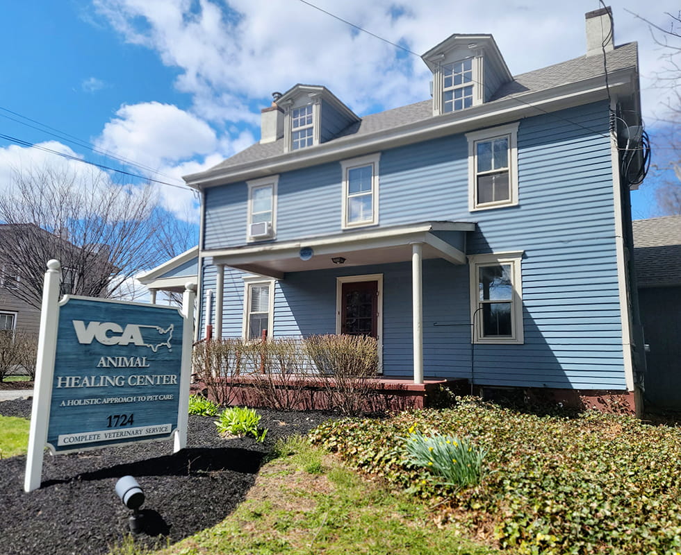 Vca Animal Healing Center