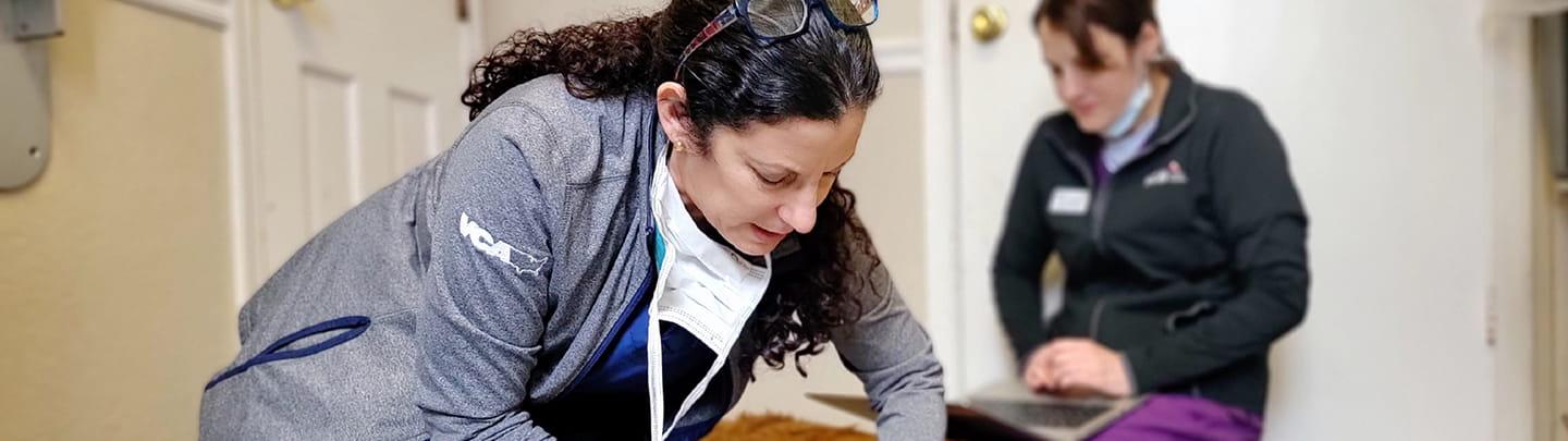 VCA Animal Healing Center | Staff Page
