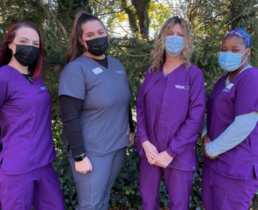 VCA Animal Healing Center | Staff Page