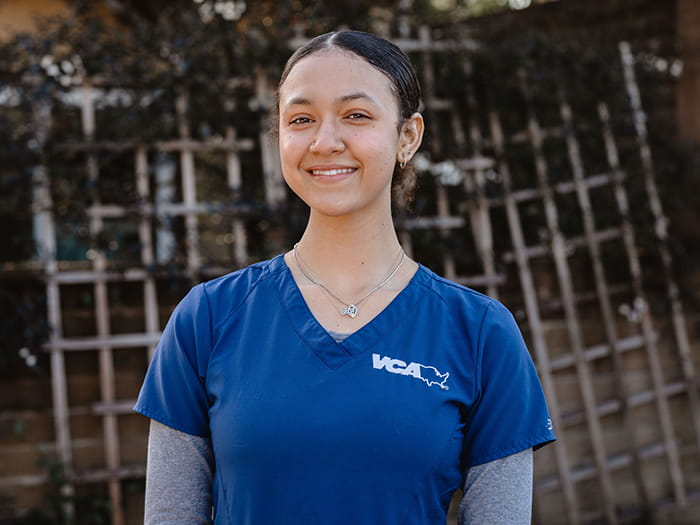 Olyn T. | VCA Animal Medical Center