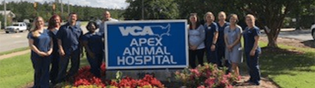 VCA Apex Animal Hospital | Staff Page
