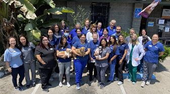 Veterinarians in Glendale, CA | VCA Arden Animal Hospital