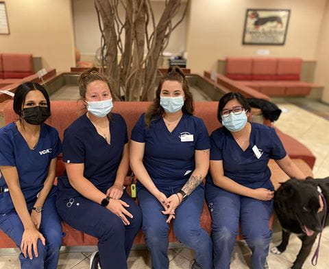 VCA Bakersfield Animal Hospital | Staff Page