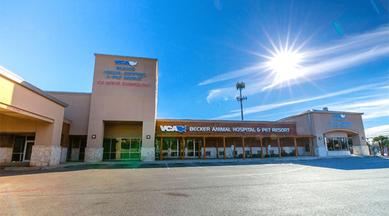 Veterinarians in San Antonio, TX | VCA Becker Animal Hospital