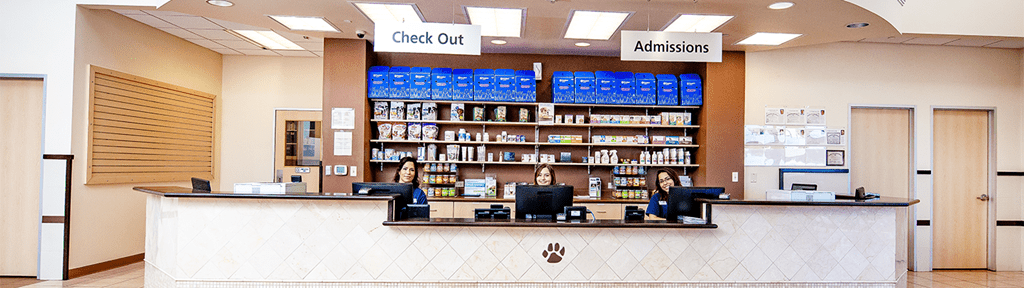 Our Services in San Antonio, TX | VCA Becker Animal Hospital