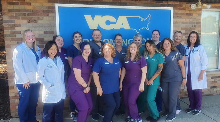 Veterinarians in Bloomington, MN | VCA Bloomington Animal Hospital